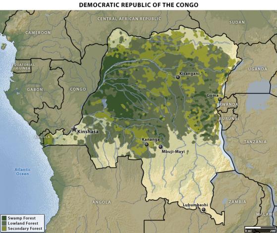 August 7, 2008: France has rejected Rwandanclaims accusing French ...